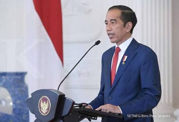 Inilah Rumah Pohon Unik di Dunia - Halo Dunia Inilah Rumah Pohon Unik di Dunia - Halo Dunia